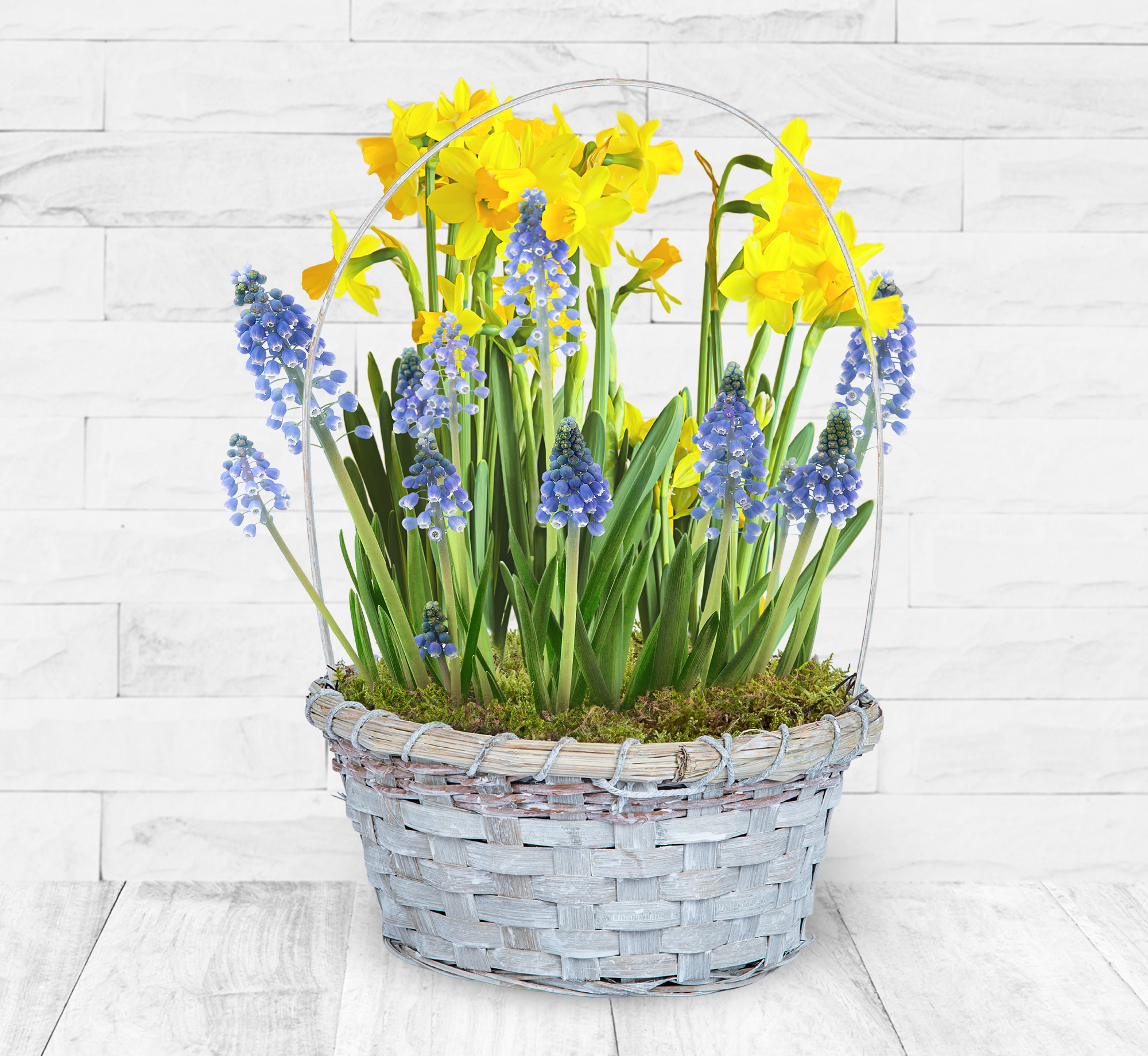Spring Basket | 123 Flowers