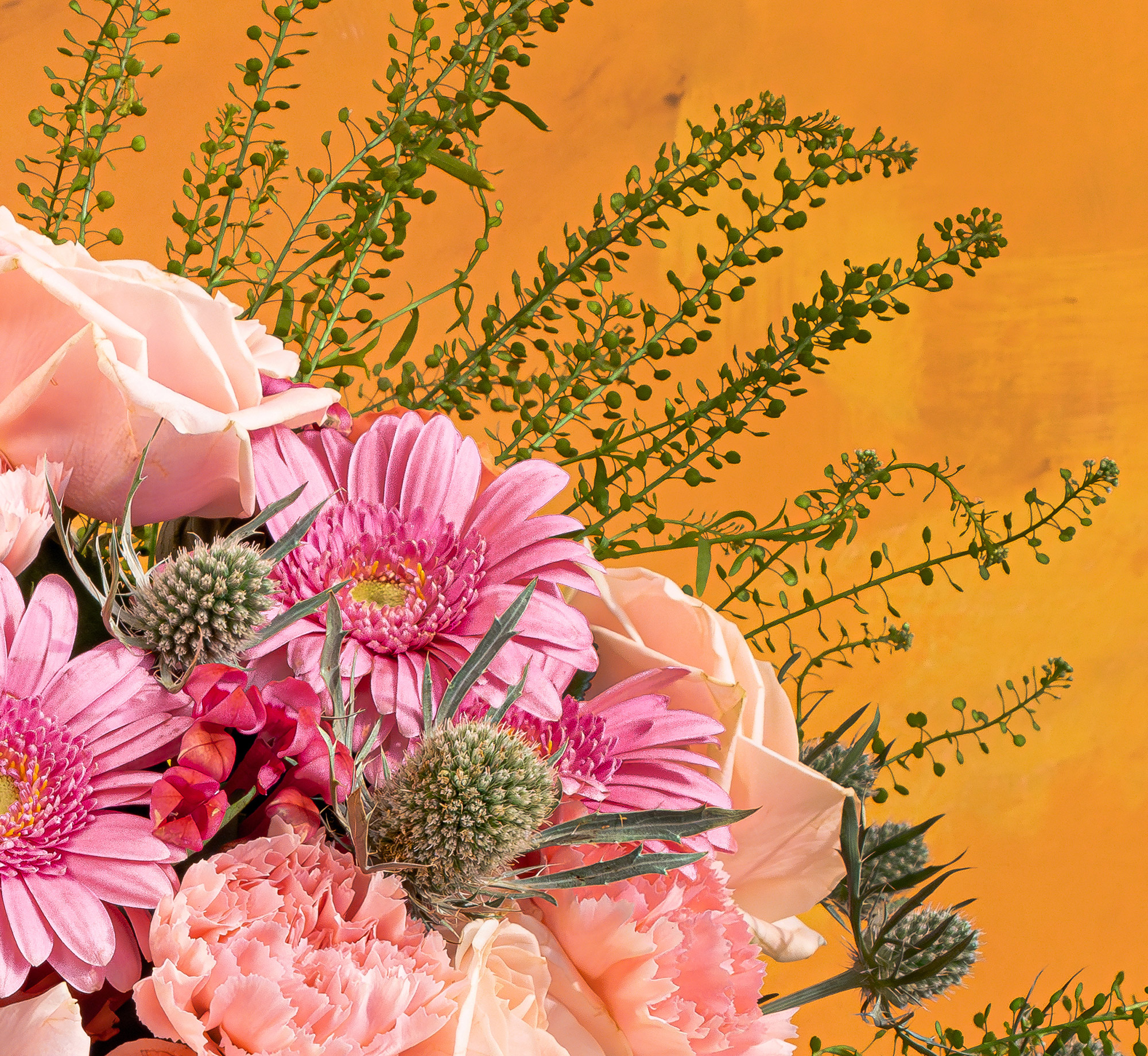 Katherine | 123 Flowers